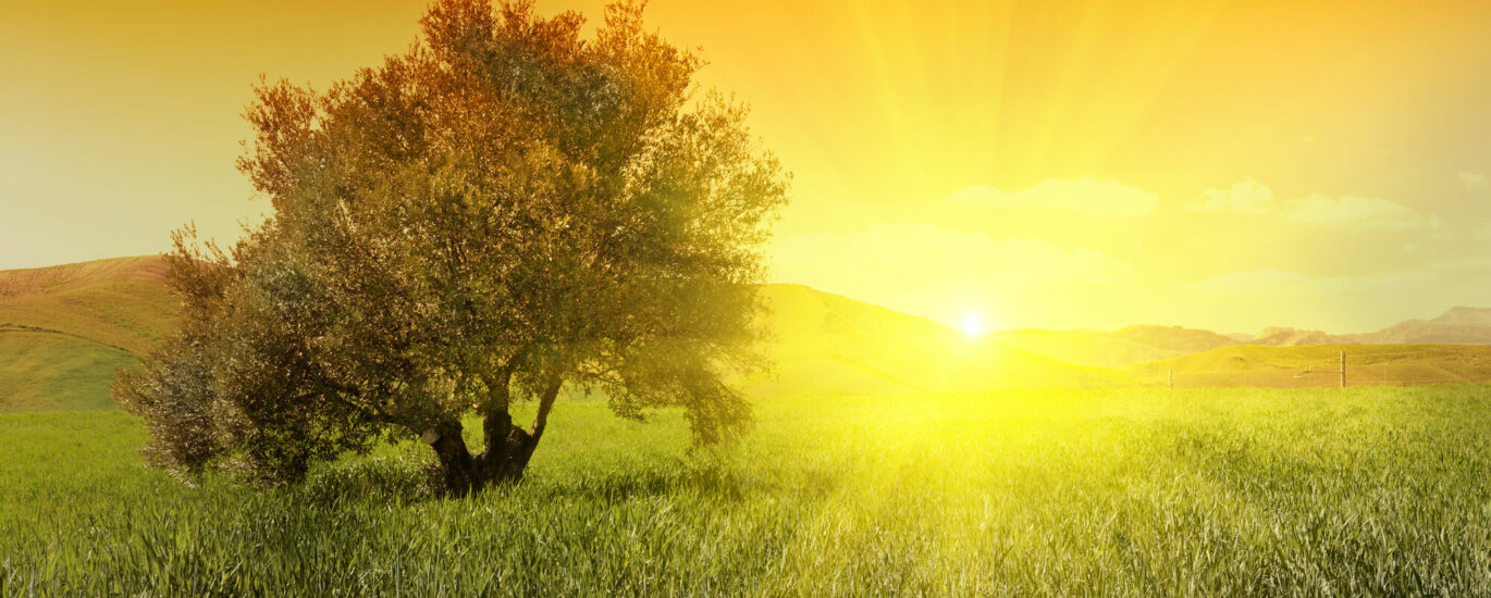 What Is Our Promised Land? – Jeff Mikels